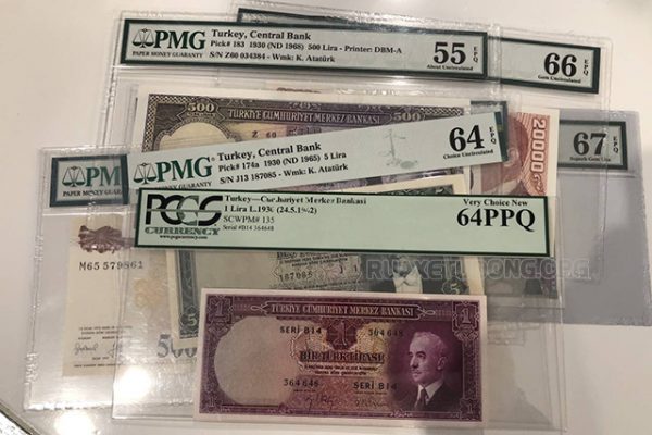 PMG là gì? Nghĩa của PMG trên Facebook, tiktok và tiền tệ - Rửa xe tự động